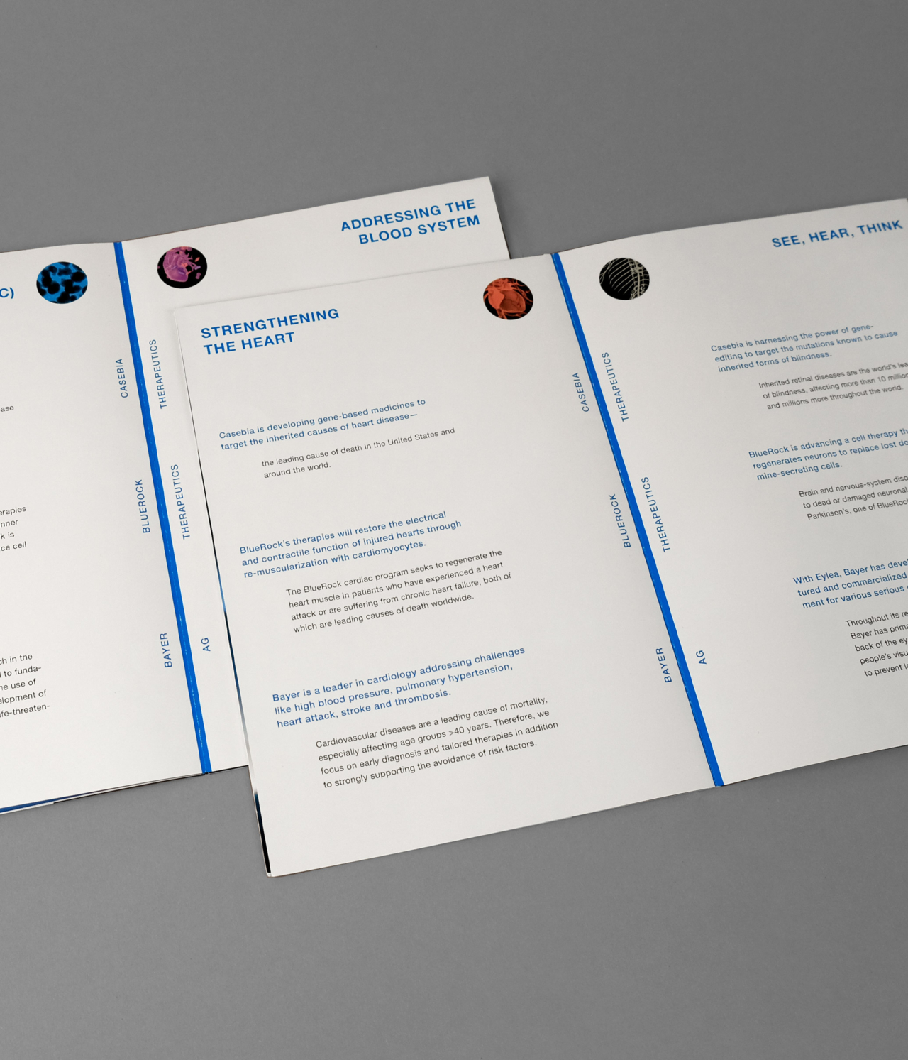 ANNETTE FISCHER — CB Club