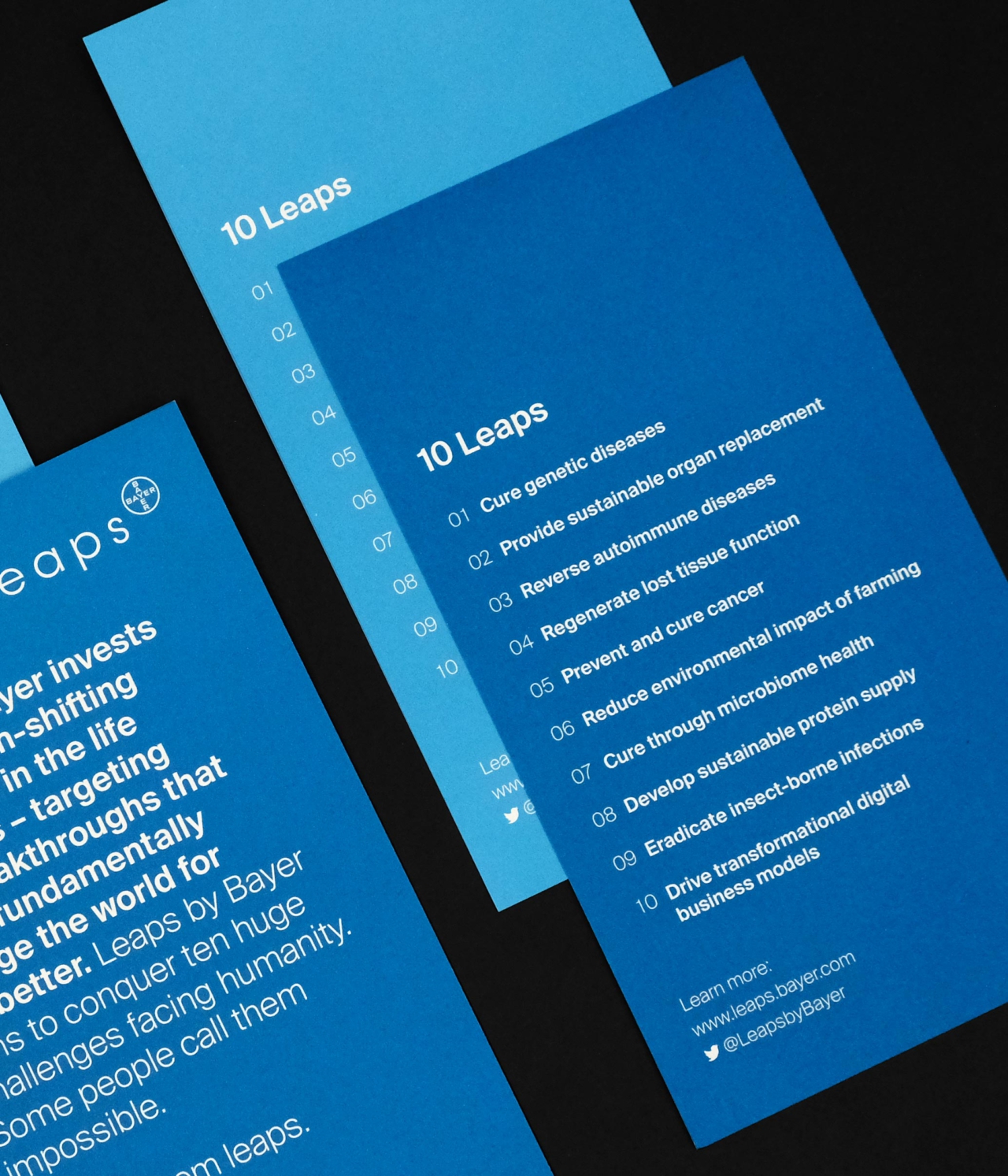 ANNETTE FISCHER — Leaps by Bayer