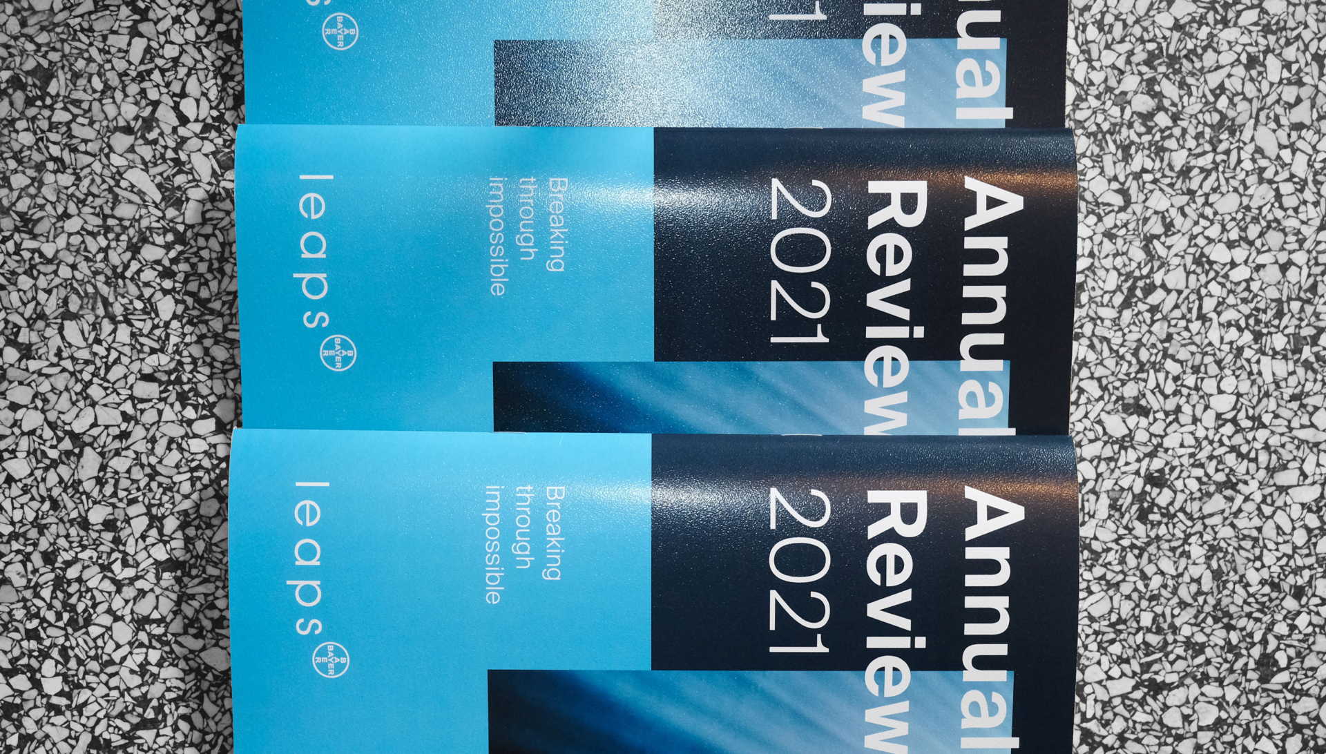 ANNETTE FISCHER — leaps by Bayer – Annual Review 2021